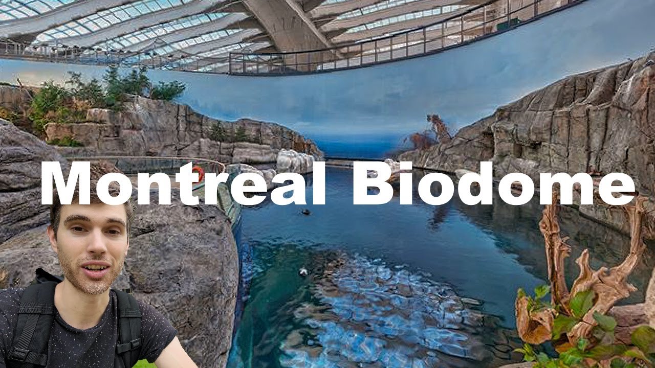 The Montreal Biodome (Different Ecosystems Under One Roof!) - YouTube