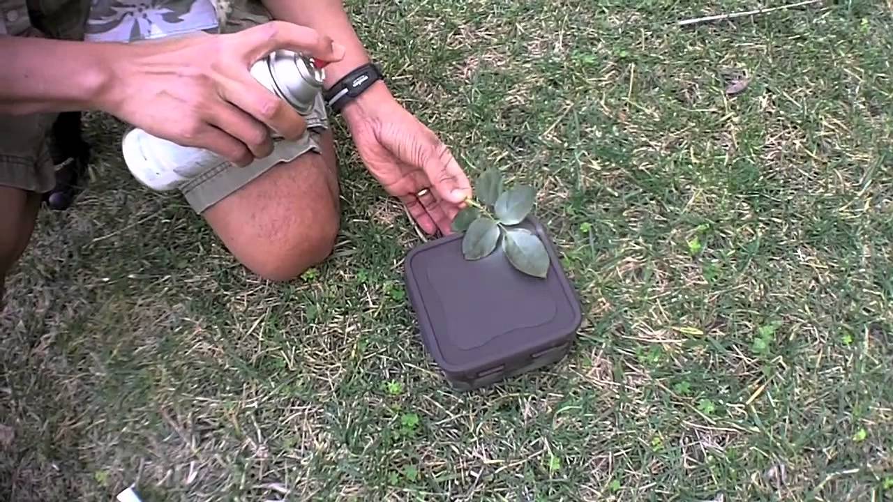 DIY Geocache Container Camo Paint Technique - YouTube