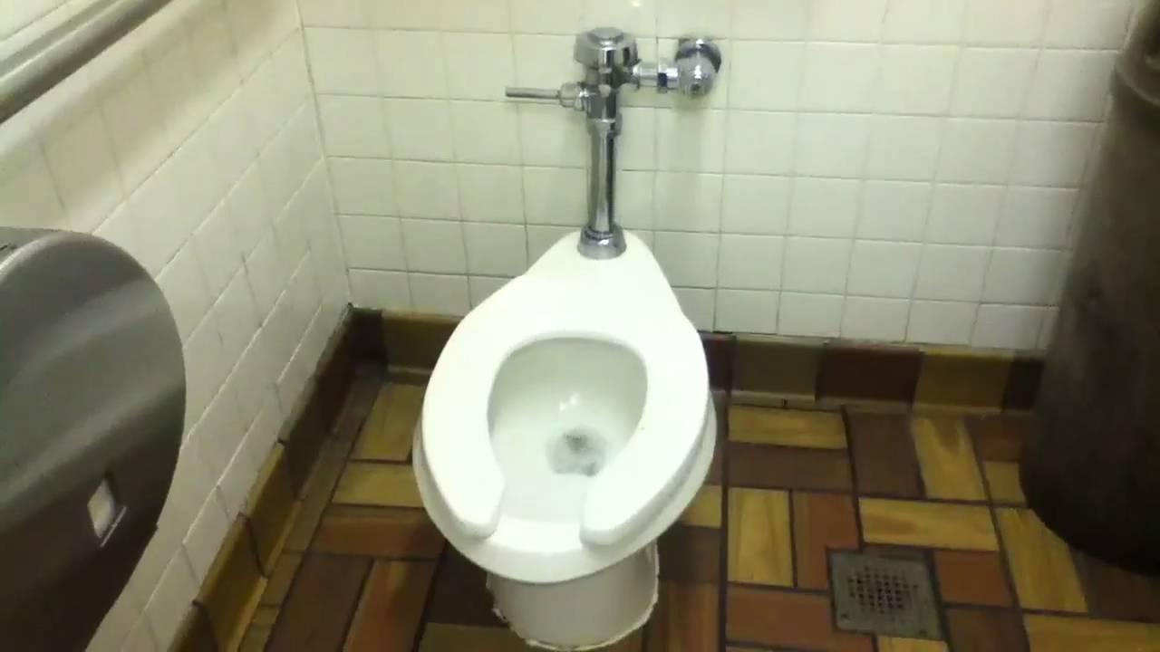 Dolphin Toilet - YouTube
