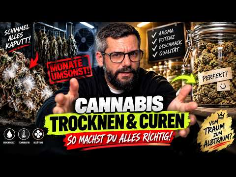 18 % oder 70 % Terpene? Was beim Trocknen wirklich passiert