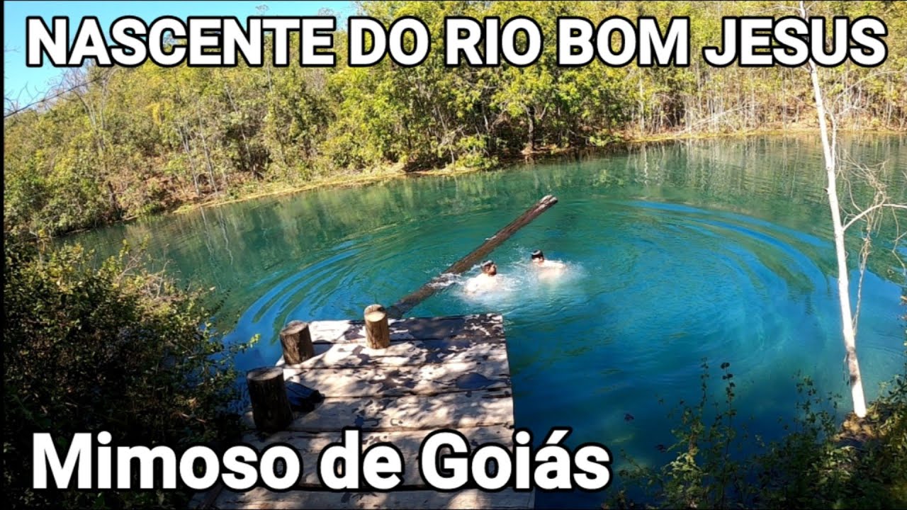 UM ENCONTRO COM A RAINHA DO CERRADO. NASCENTE DO RIO BOM JESUS - YouTube