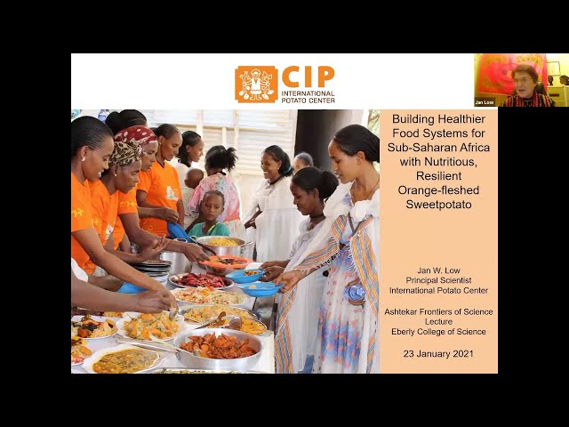 Sub Saharan Africa Food