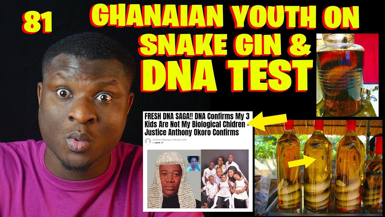 Young Ghanaian Guys On Snake 😬🤯🤯 Gin + DNA Tests Wahala 😬😬😢||Seth Ekow ...