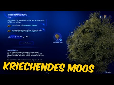 AVATAR - Kriechendes Moos ausgezeichnet finden / Find creeping moss ...