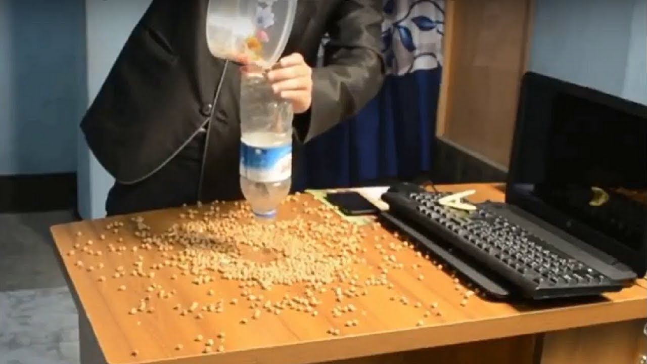 5 amazing magic video tricks,you should learn reverse magic to be magic ...