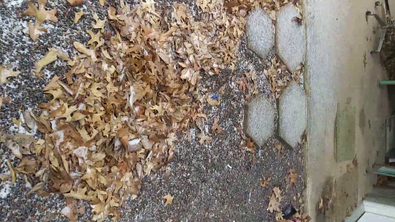 This is a mesage for my friend Caden Armstrong - YouTube