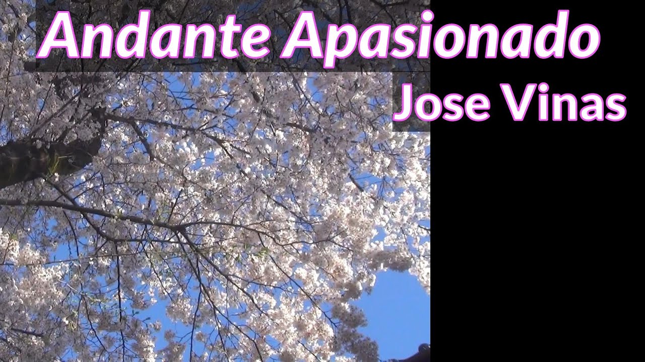 Andante Apasionado Jose Vinas - YouTube