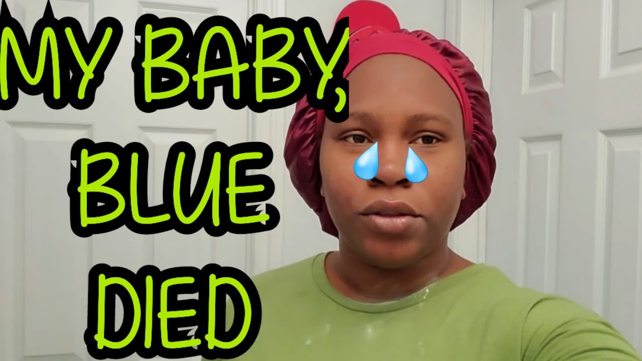 Blue Passed Away||My Baby Is Going To School Soon||Take Down My Hair ...