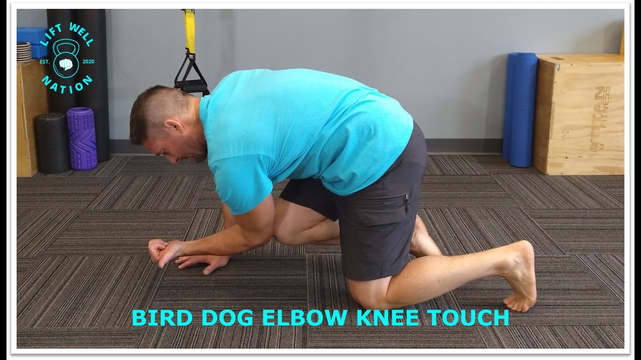 Bird Dog Elbow Knee Touch - YouTube