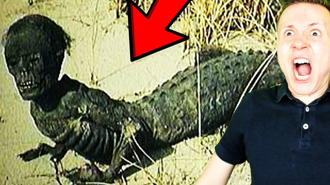 VARELSEN LEVER!? (JAKE THE ALLIGATOR MAN) - YouTube