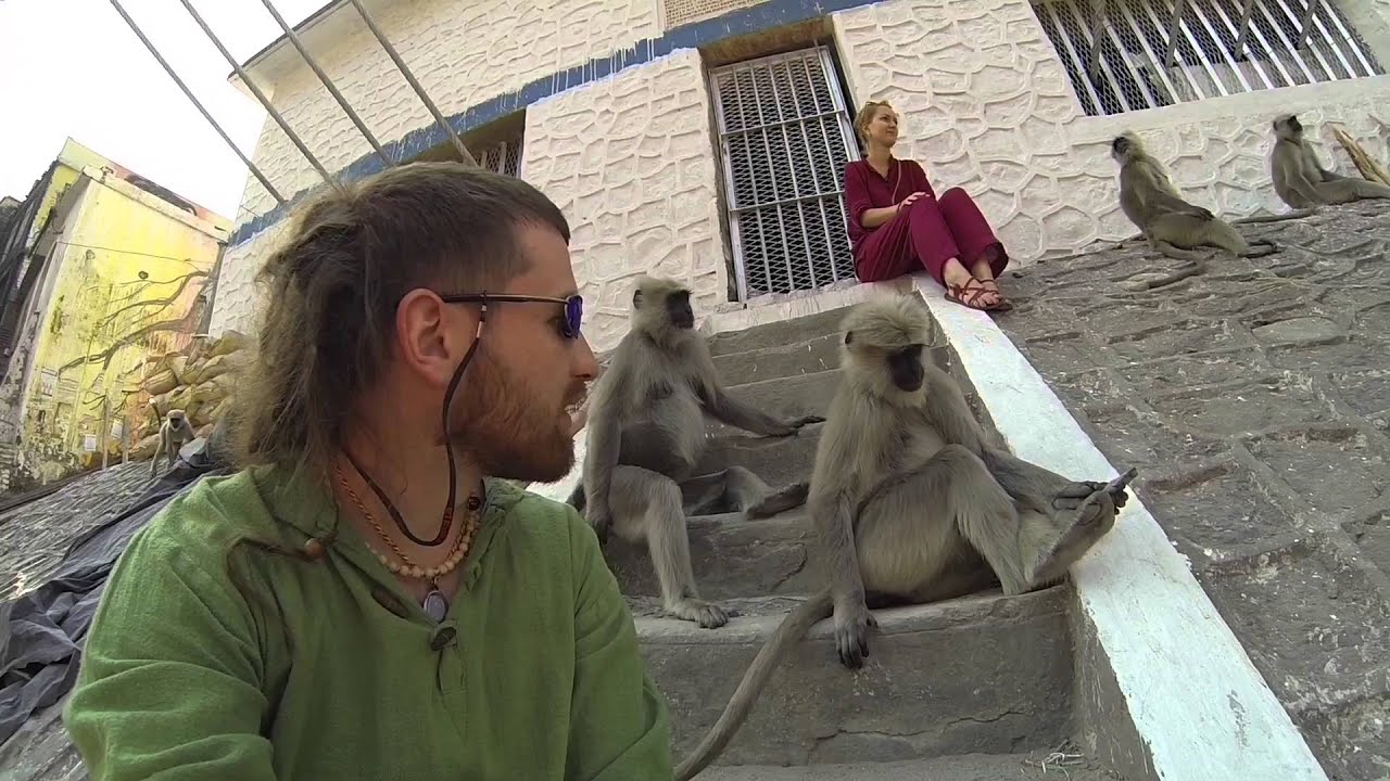 India, Rishikesh bridge, good monkeys - YouTube