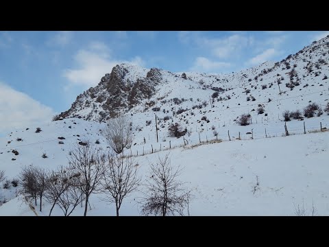 Qış üzün göstərdi