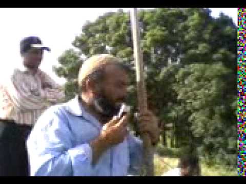 Muş gunde bahce