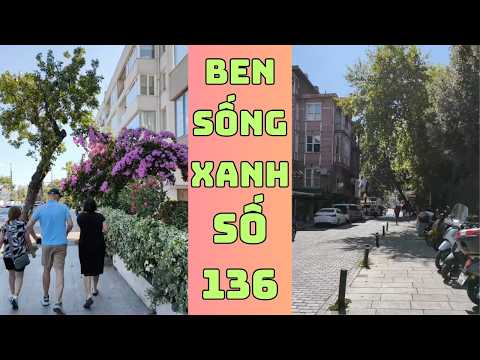 Ben Sống Xanh Số 136 - Khung cảnh tuyệt đẹp hai bên đường ở Bắc Âu