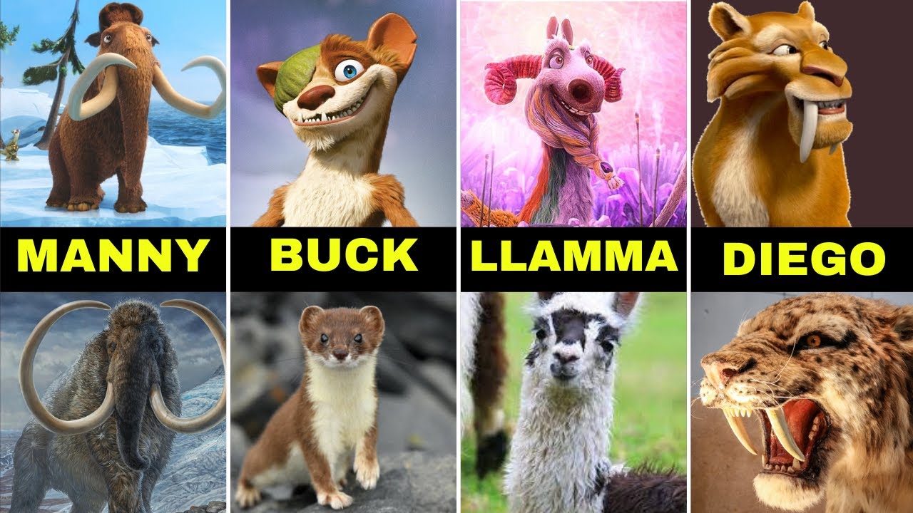 Ice Age Characters In Real Life Youtube