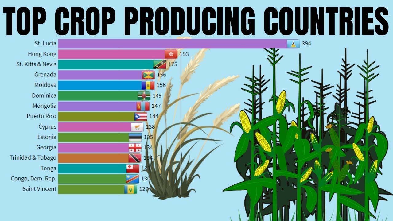 Top Country By Crop Production Top Crop Producing Countries In The top-country-by-crop-production-top-crop-producing-countries-in-the
