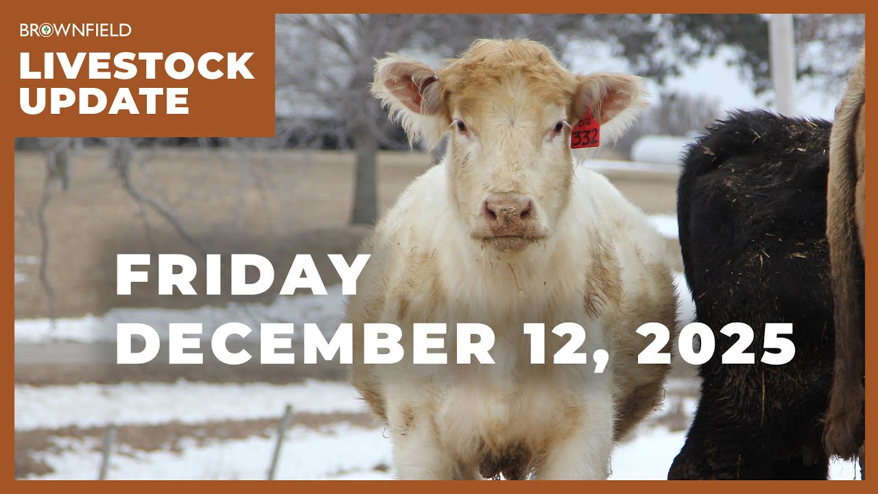 Live cattle prices jump more than $8 this week | Weekly Livestock ...