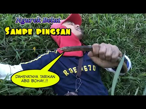 Sampe pingsan || ngurek belut ABG bohay