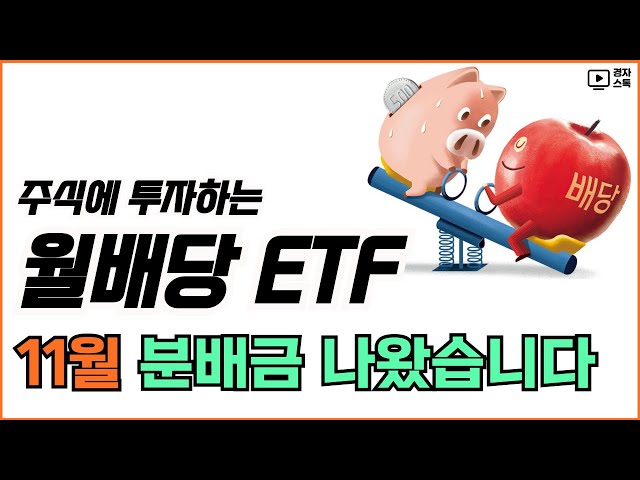 주식에 투자하는 월배당 ETF 67종목 ㅣ 11월 분배금과 수익률