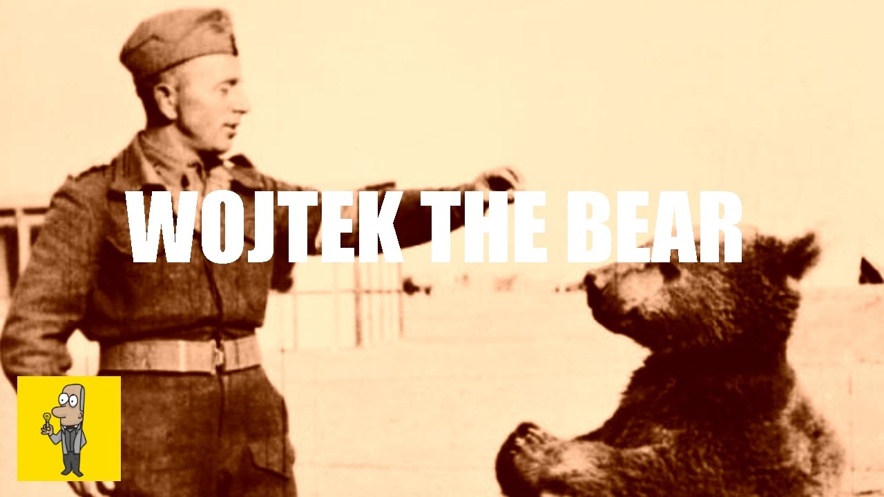 Wojtek the Bear | Amazing Lives Series #4 - YouTube