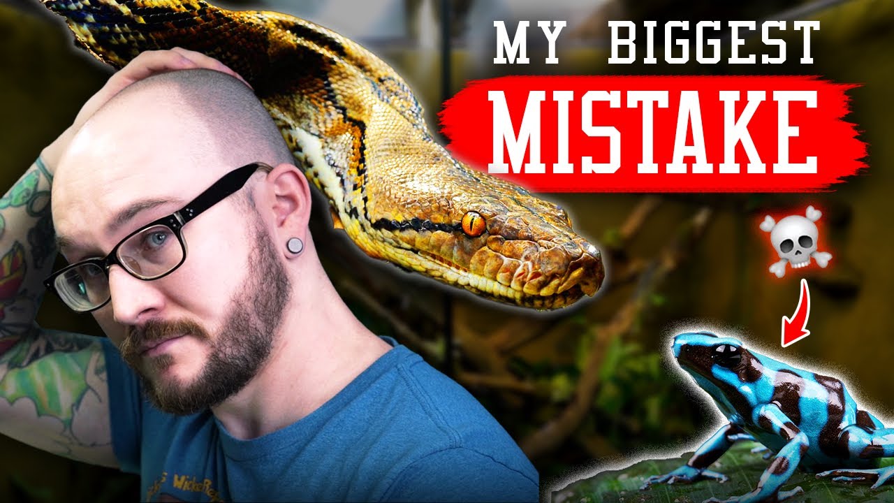 I Put BIG Snakes, Frogs and Lizards in The Same Enclosure and It Was a ...