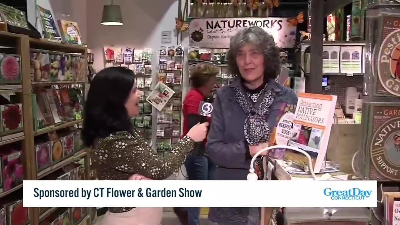 A look inside the CT Flower & Garden Show - YouTube