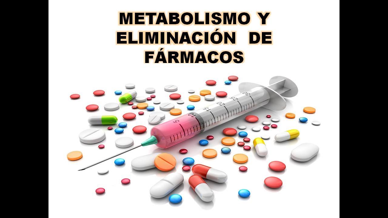FARMACOCINÉTICA (METABOLISMO Y ELIMINACIÓN DE FÁRMACOS) - YouTube