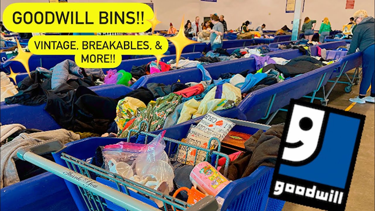 Let’s GO To Goodwill Bins! The Bins Are FULL Of Breakables & Vintage ...