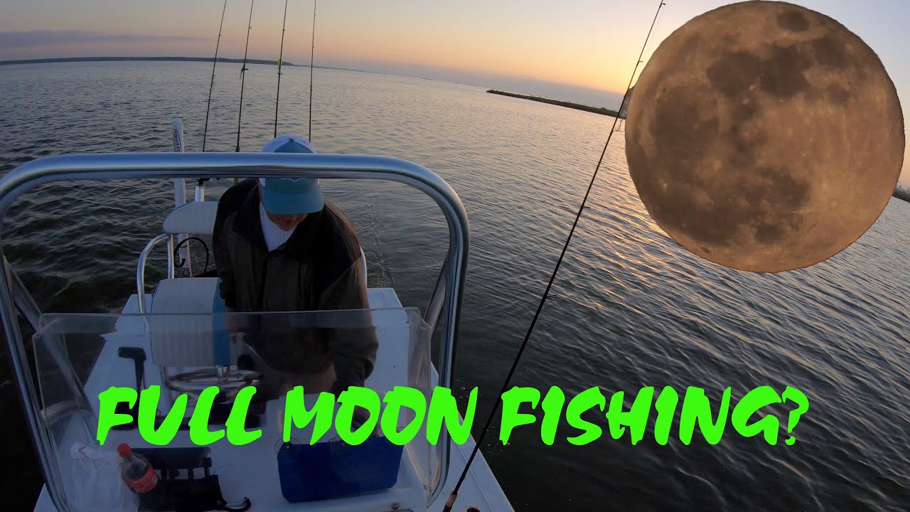 Do fish bite the morning after a full moon? - YouTube