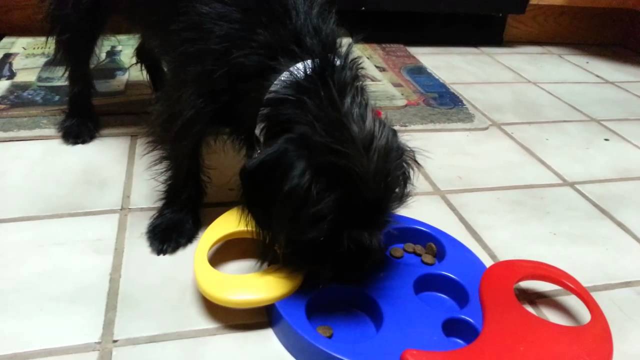 Wisdom of Wag: Patience and Persistence Pay Off - YouTube