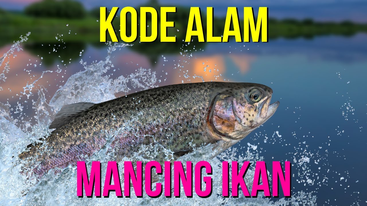 EREK EREK MANCING IKAN 2D 3D 4D | KODE ALAM MANCING IKAN | TAFSIR MIMPI ...