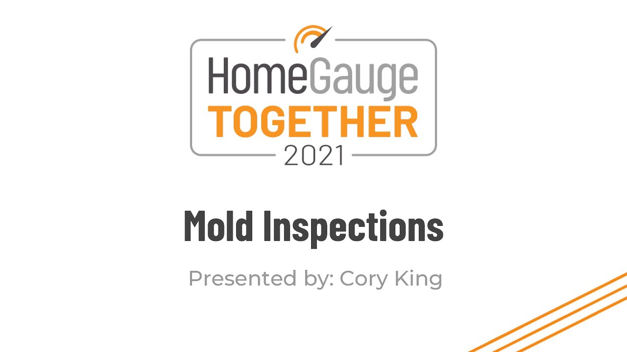 HGT 2021: Mold Inspections - YouTube