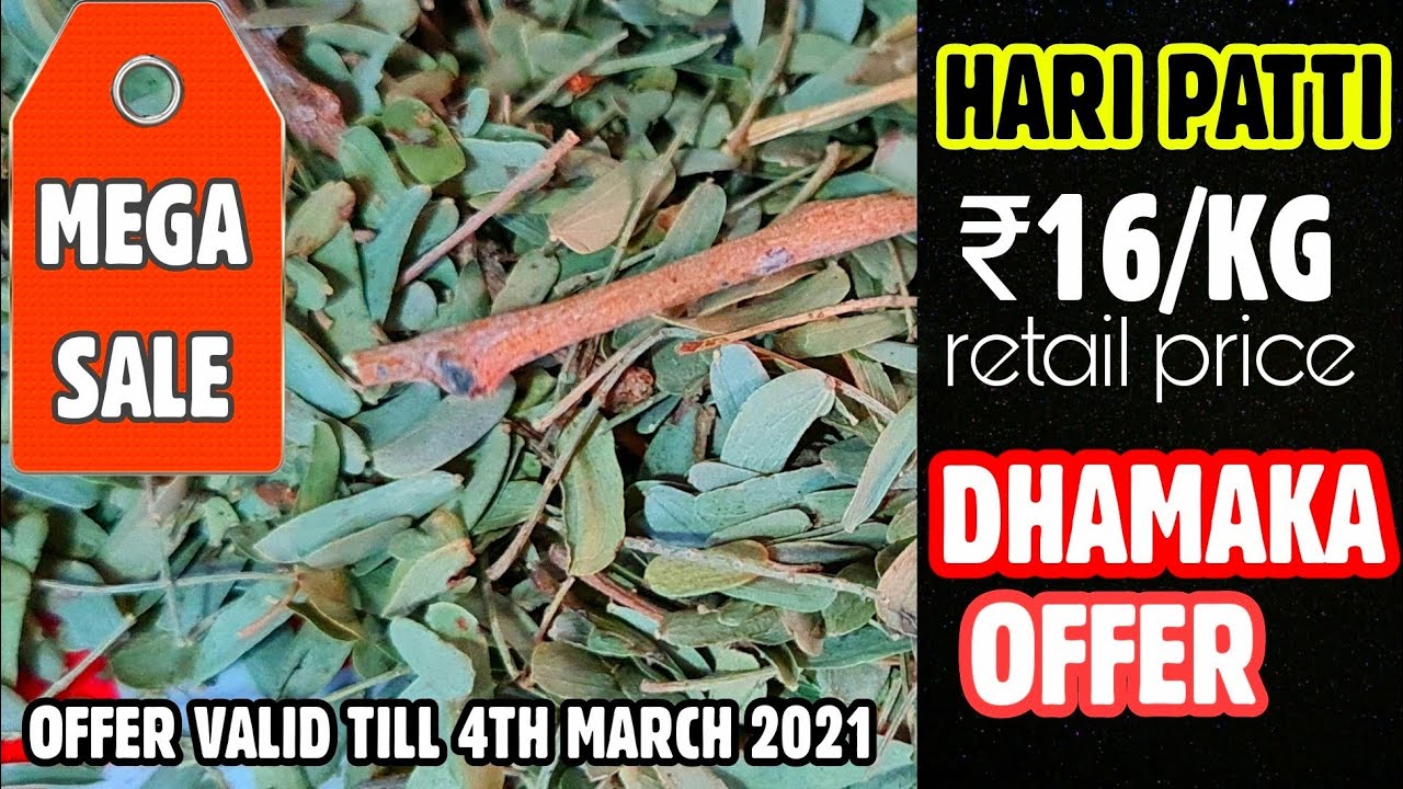 Hari Patti Dhamaka Offer ₹16/Kg at KGN A&FT Goat Feed Mumbai | All ...