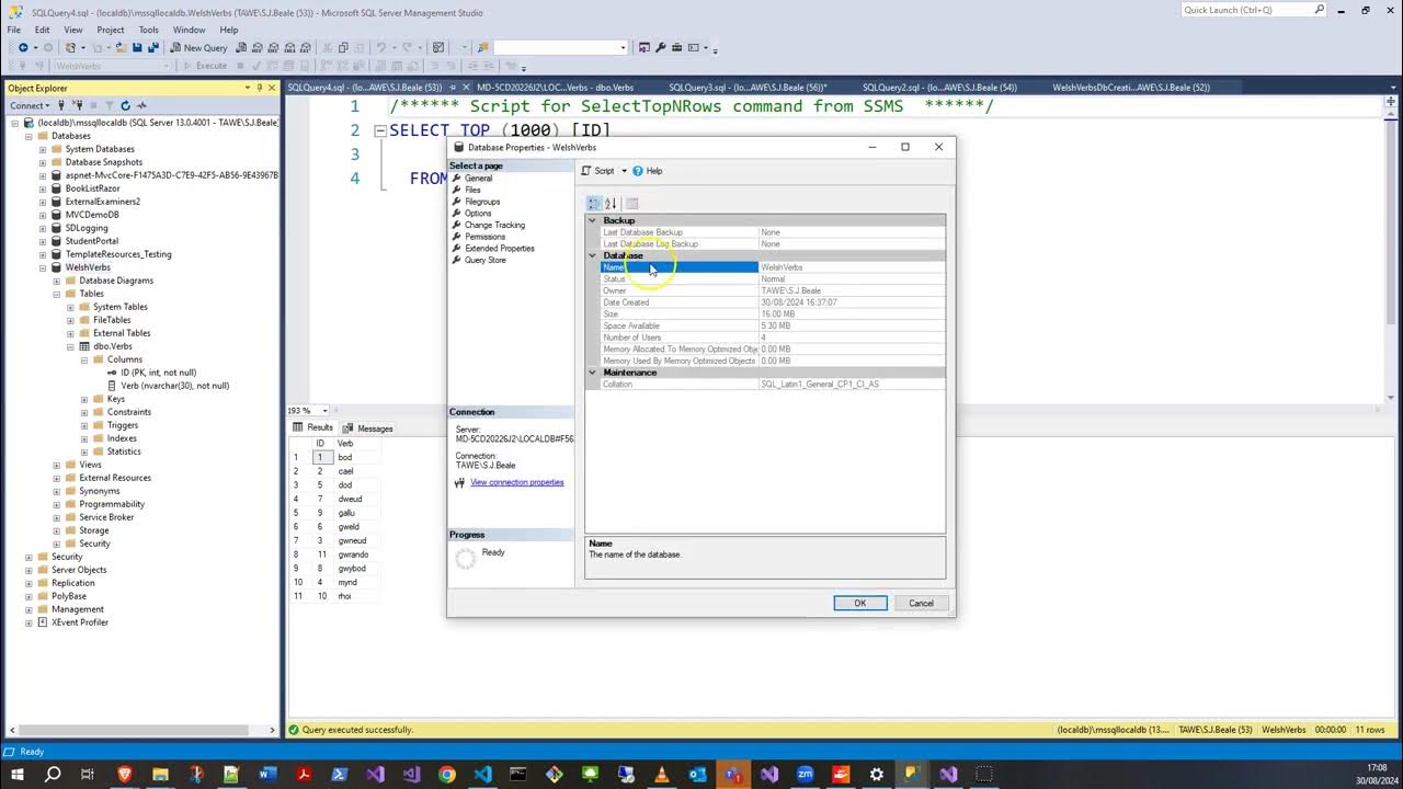 Connect Microsoft SQL Server Management Studio Database to .NET Project - YouTube