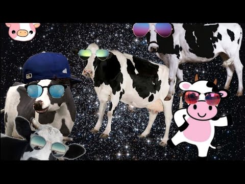 CRAZY COW DANCE 14 | COW DANCE & COW SONG | COW DANCE 🐮🐮🐄🐄 - YouTube