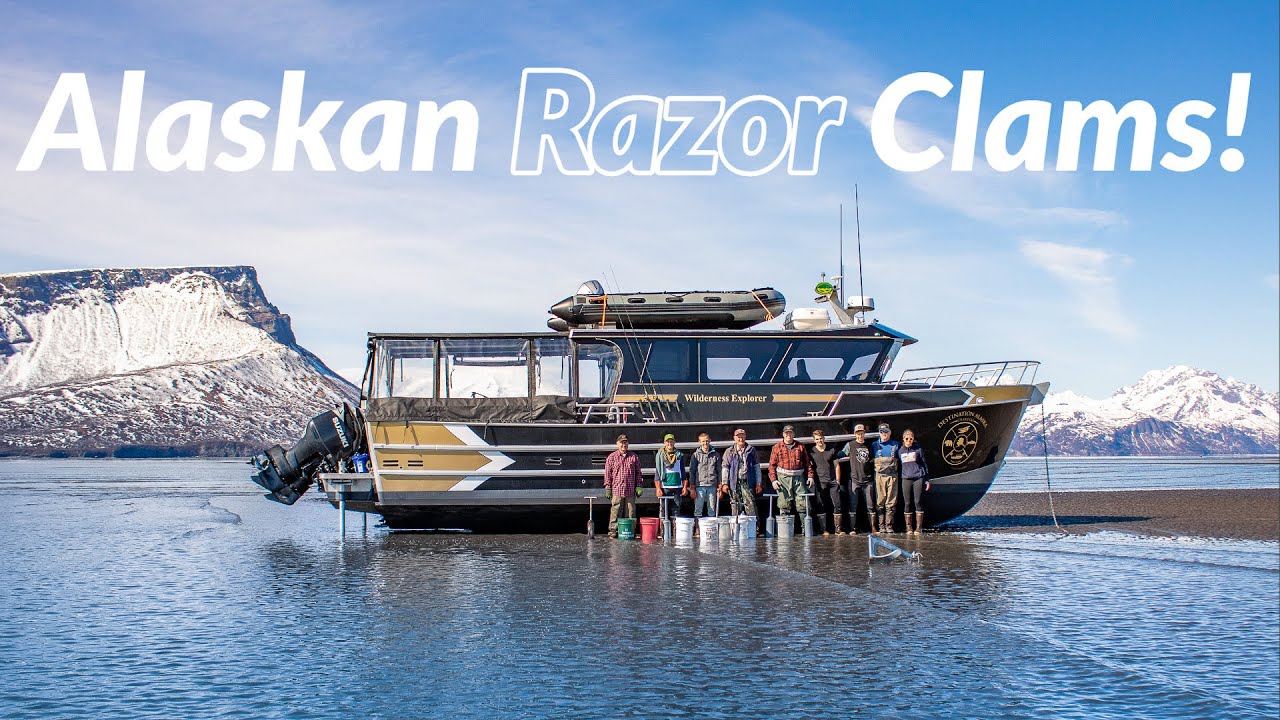 Alaskan Razor Clams at Low Tide! (1080p HD) - YouTube