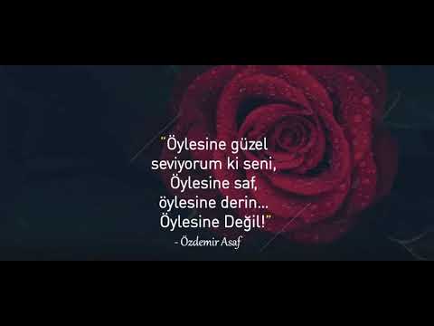 Özdemir Asaf Sözleri