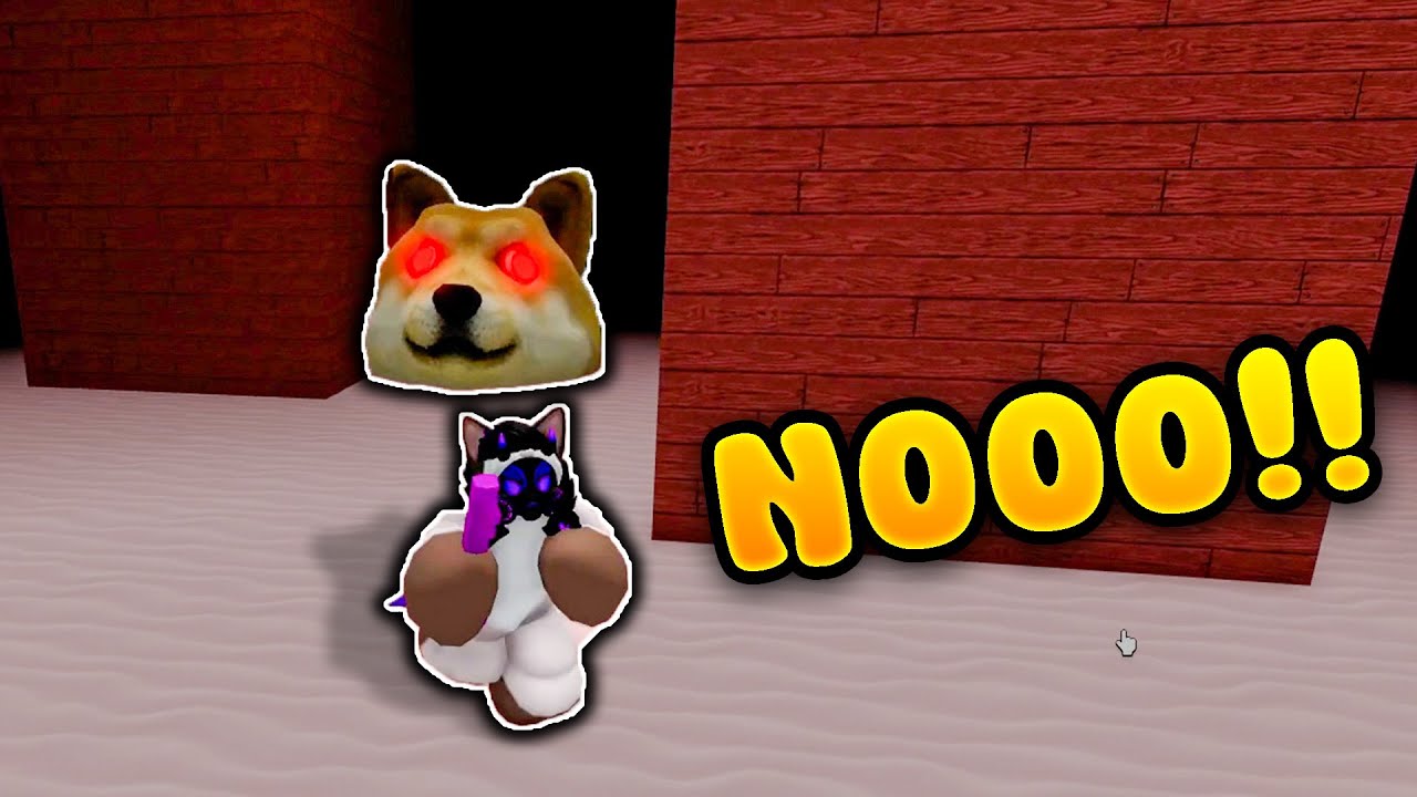 This Dog Has Gone Mad !! - YouTube