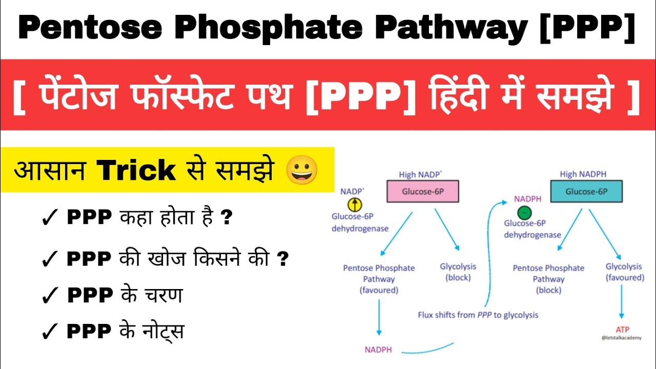 Pentose Phosphate Pathway | PPP in Hindi | PPP trick | PPP Notes | PPP ...
