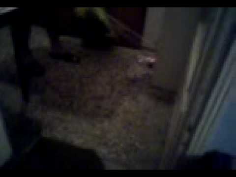 Öğrenci Olmak (andaz baba)