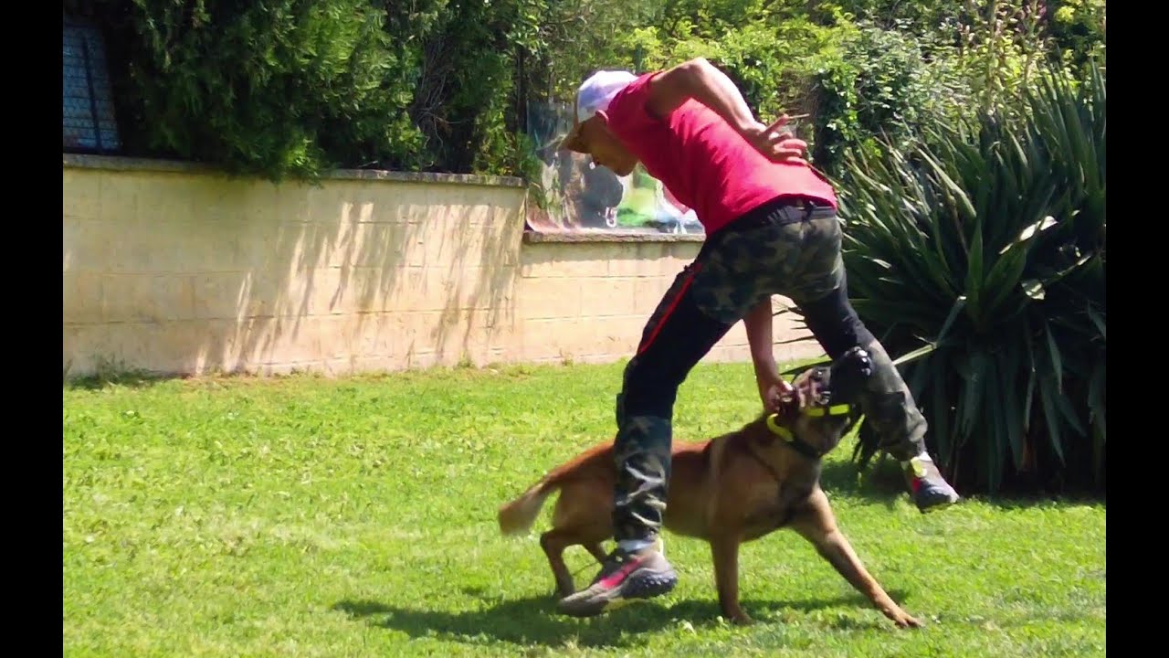 ESQUIVER UNE ATTAQUE / "gestuelle d'urgence" - YouTube