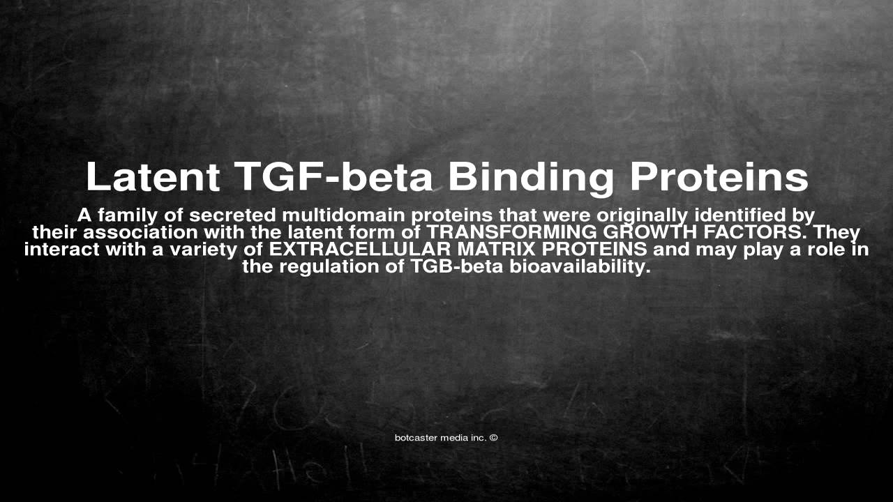 Medical Vocabulary What Does Latent TGF beta Binding Proteins Mean medical-vocabulary-what-does-latent-tgf-beta-binding-proteins-mean