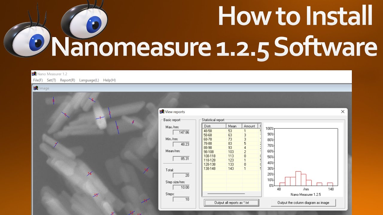 Download and Install nanomeasure software for nanoparticle size ...