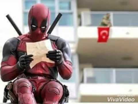 As Bayrakları as as