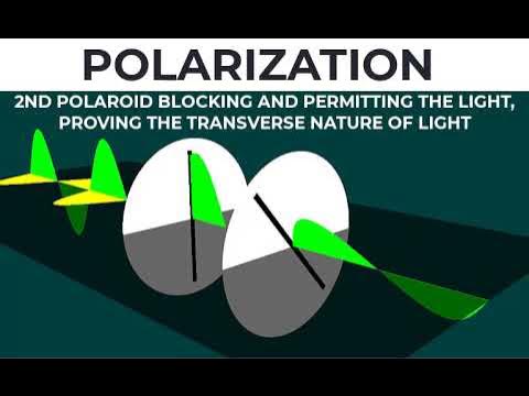 POLARIZATION OF LIGHT | Beautiful Animations | Physics Class 11 ...