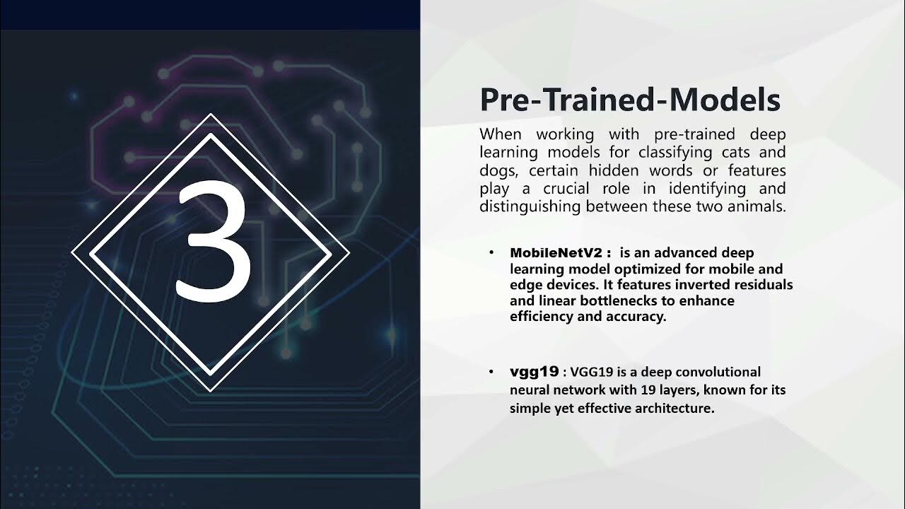 Cats&Dogs Classification - YouTube