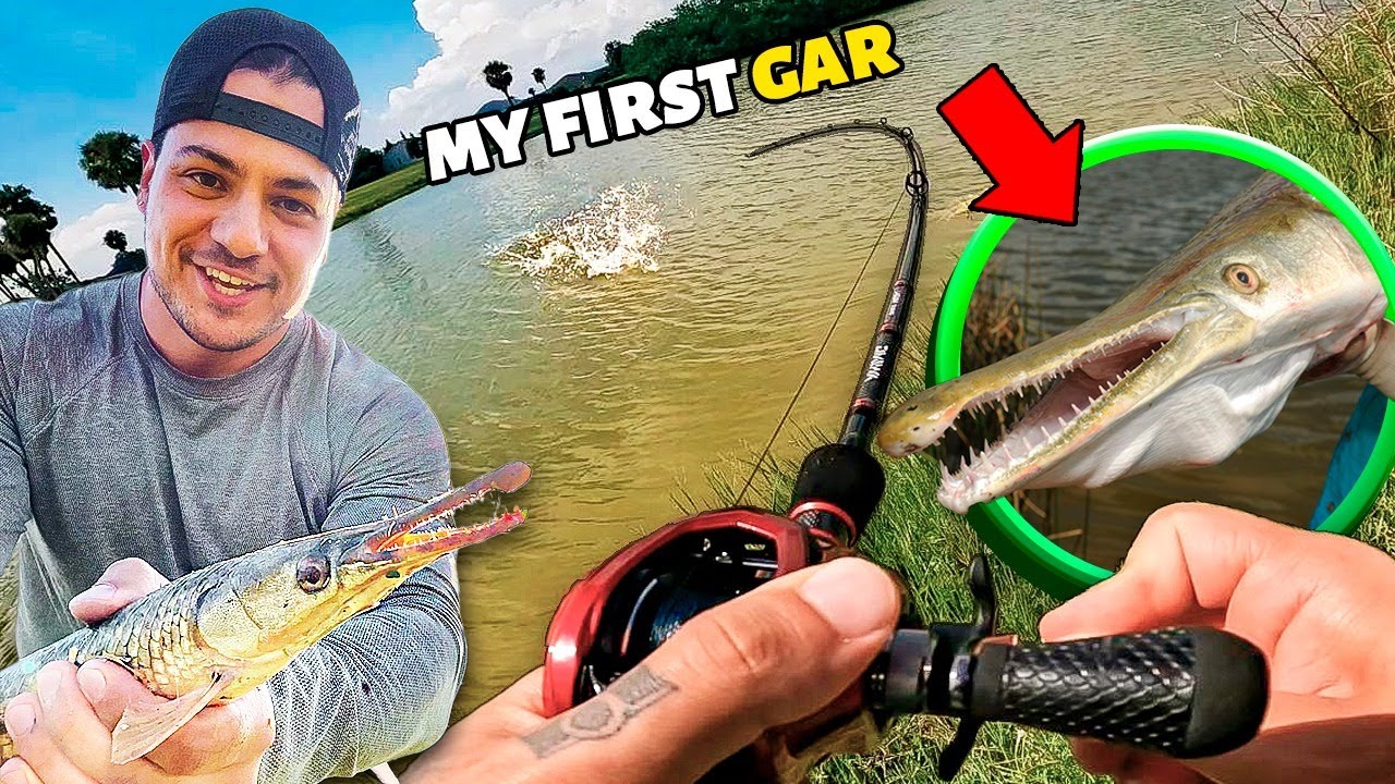 I caught my first ALLIGATOR GAR in a Neighborhood Pond! *Fishing Vlog ...