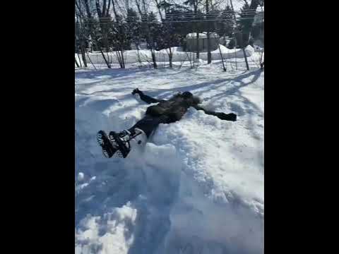 LETS PLAY SNOW NOW - YouTube