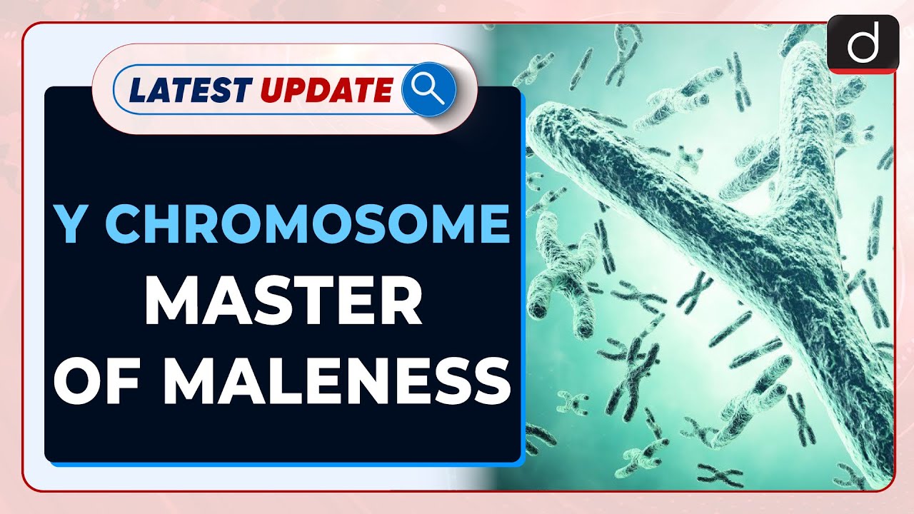 Y Chromosome-Master of Maleness - Latest update | Drishti IAS English ...