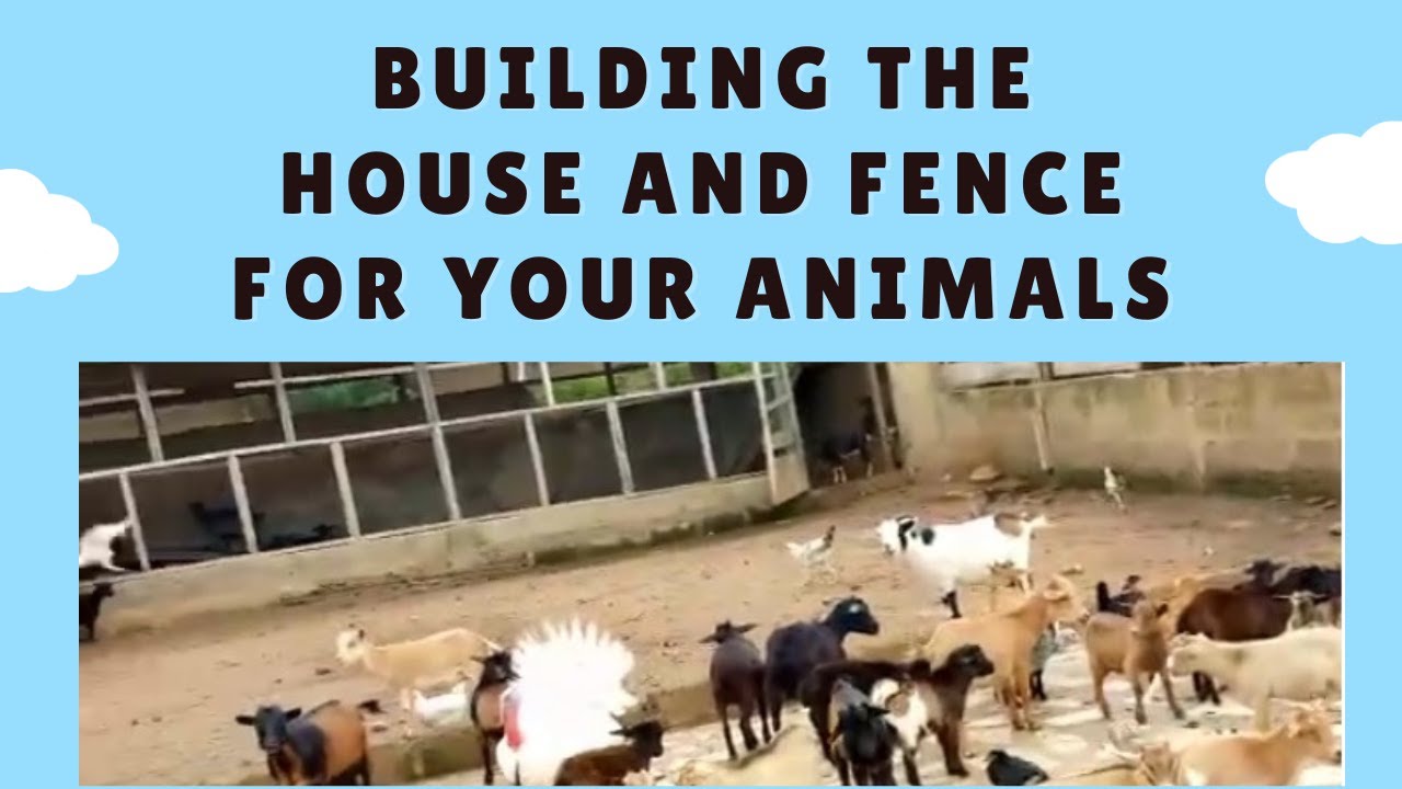 Building the house and fence for your animals - YouTube